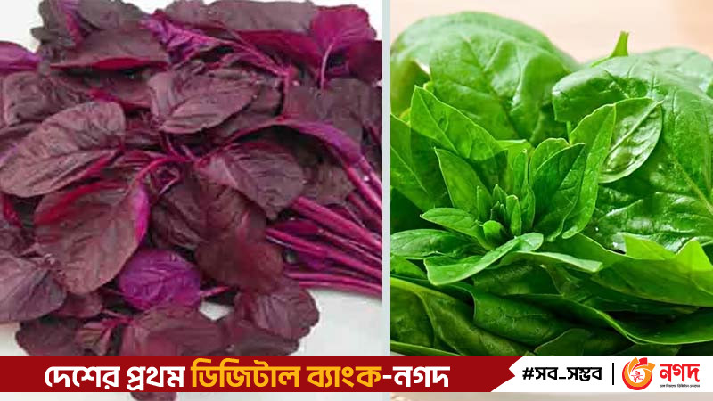 লাল শাক না পালং শাক কোনটা বেশি উপকারী, যা বলছেন পুষ্টিবিদ