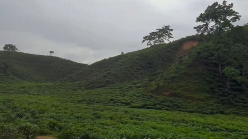 নির্জন স্থানে বস্তাবন্দী কাটা পা, বাকি অংশ হন্যে হয়ে খুঁজছে পুলিশ